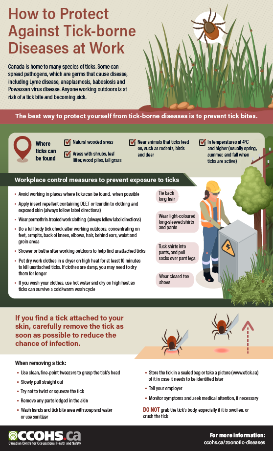 CCOHS: How to Protect Against Tick-borne Diseases at Work