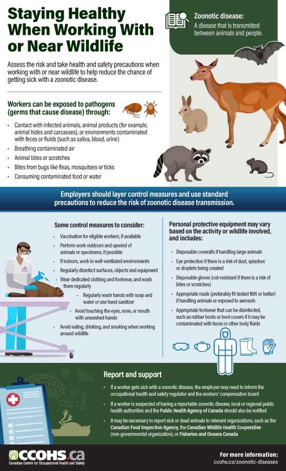 CCOHS: Staying Healthy When Working With or Near Wildlife