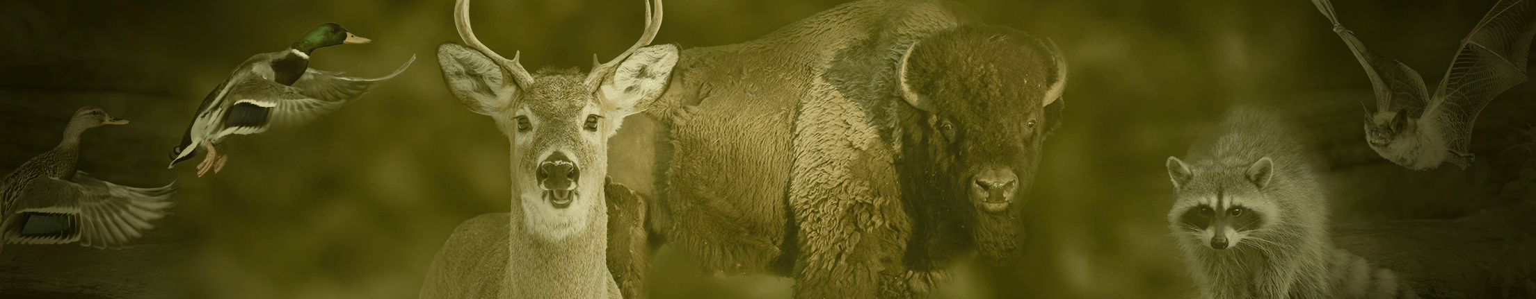 CCOHS: Canadian Centre for Occupational Health and Safety